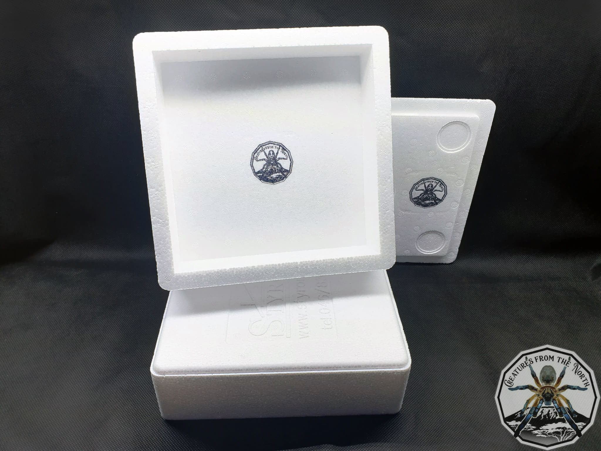 STYROFOAM CONTAINER "L" 22 x 22 x 7,5 cm